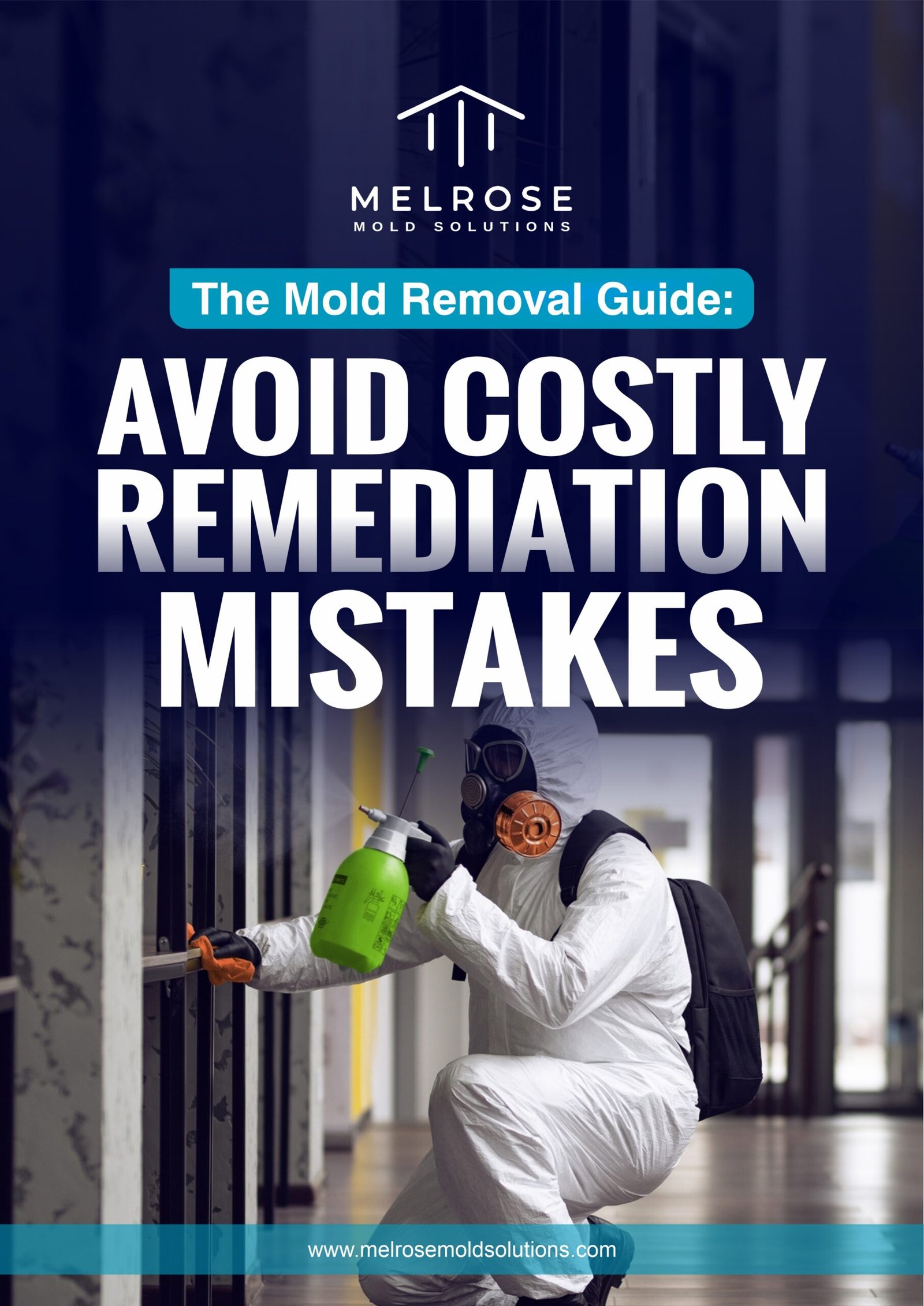 Melrose Mold Solutions